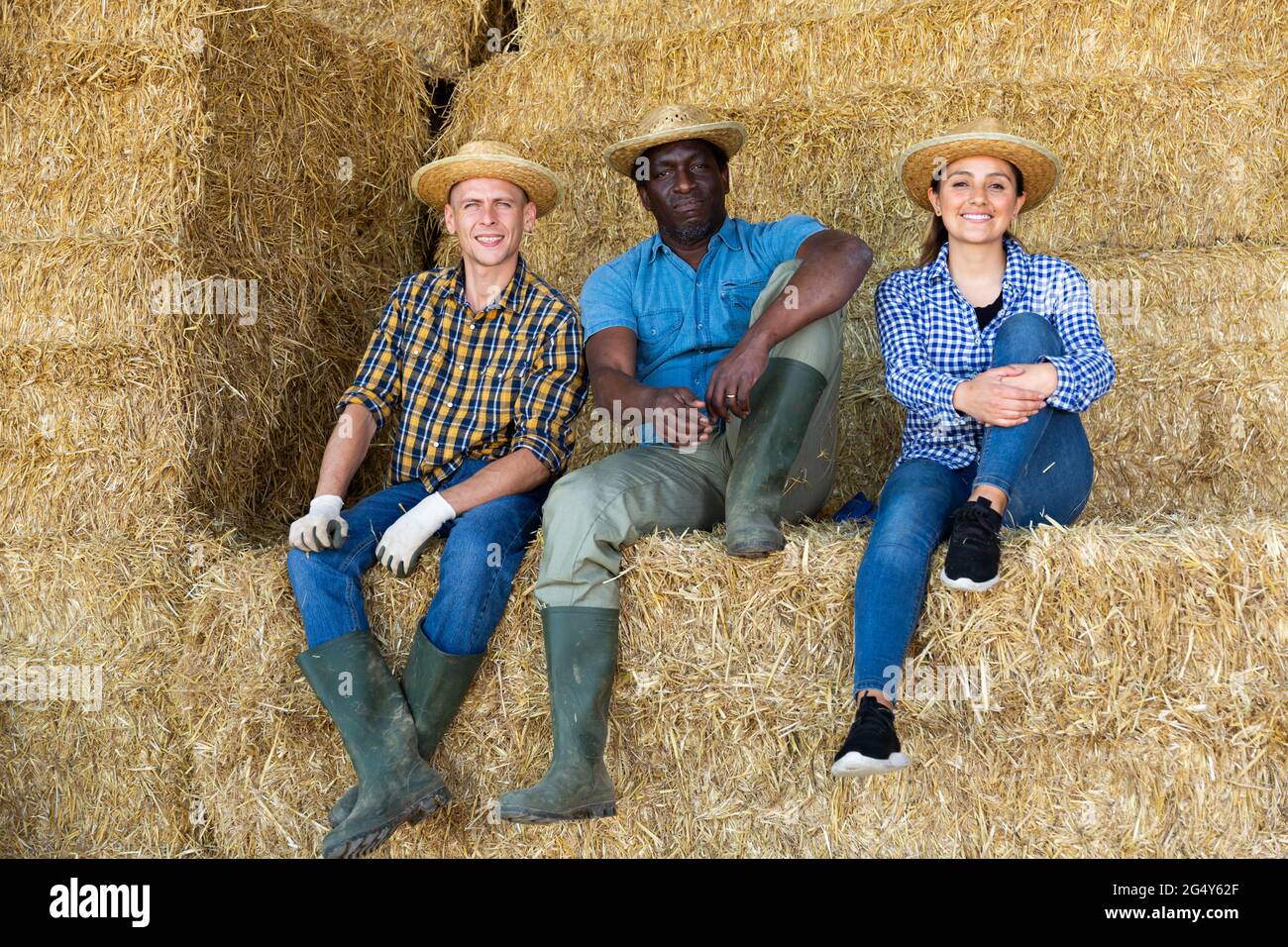 Three farmers resting on hayloft at cow farm Stock Photo - Alamy