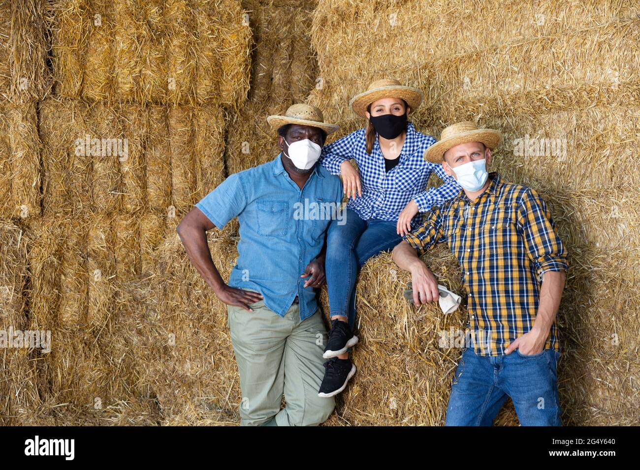 Farmers in face masks resting on strawstack Stock Photo - Alamy