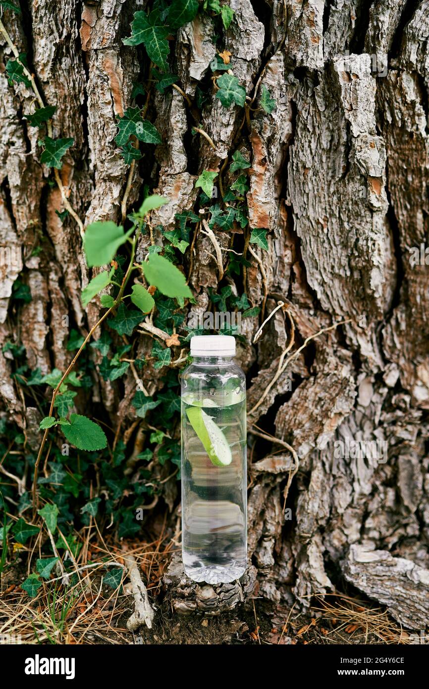 Plastic entwined tree hi-res stock photography and images - Alamy