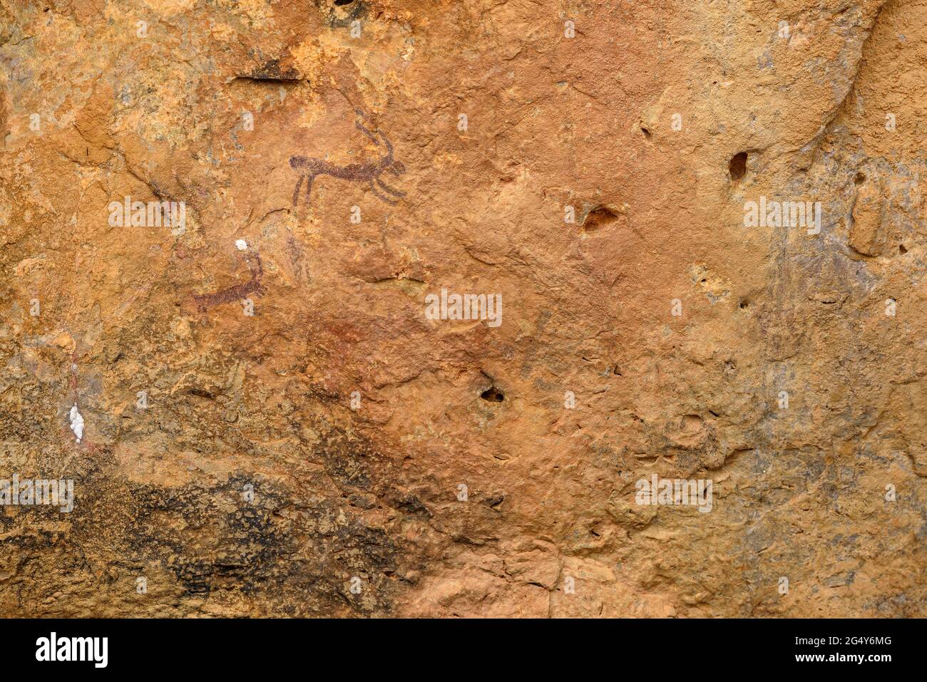 Visit to the Neolithic cave paintings of the Abrics de l'Ermita, in ...