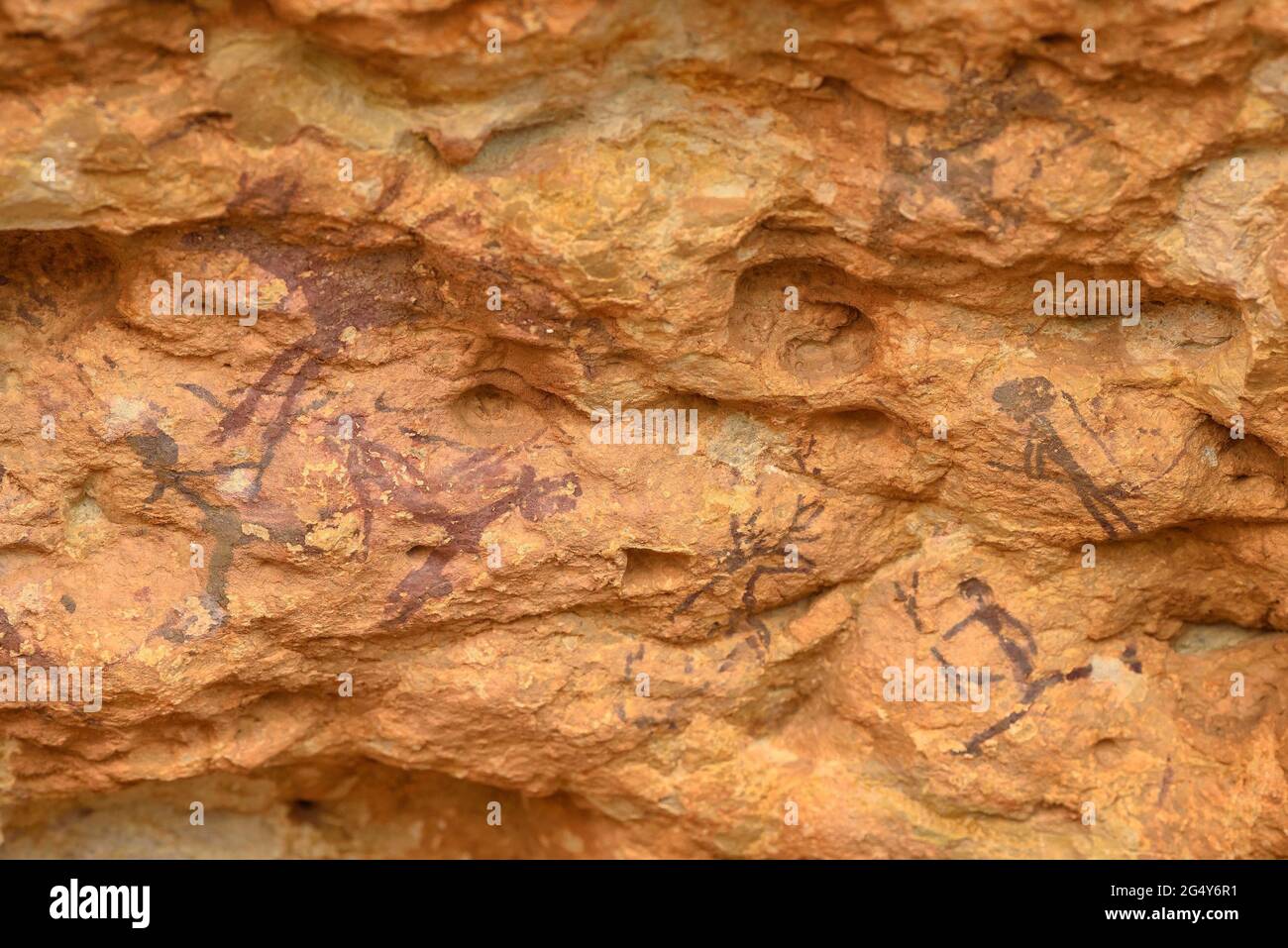 Visit to the Neolithic cave paintings of the Abrics de l'Ermita, in ...