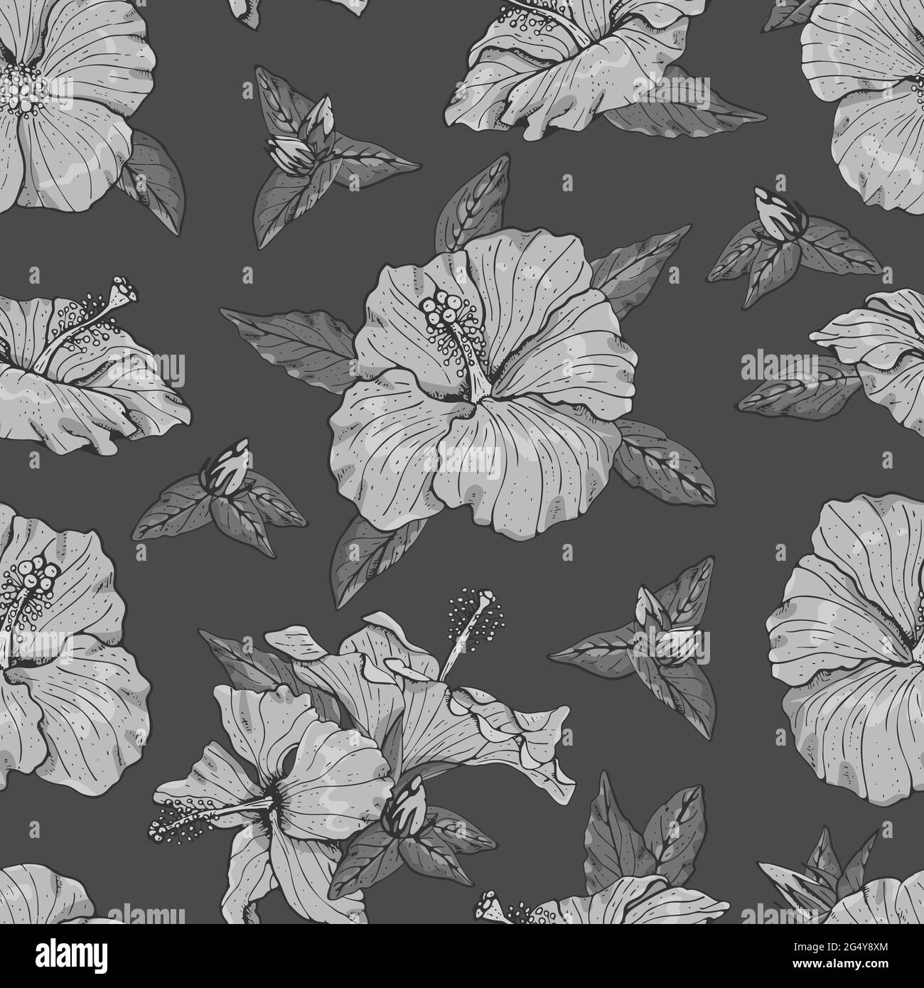 Monochrome seamless pattern with line art gray hibiscus flowers, buds ...