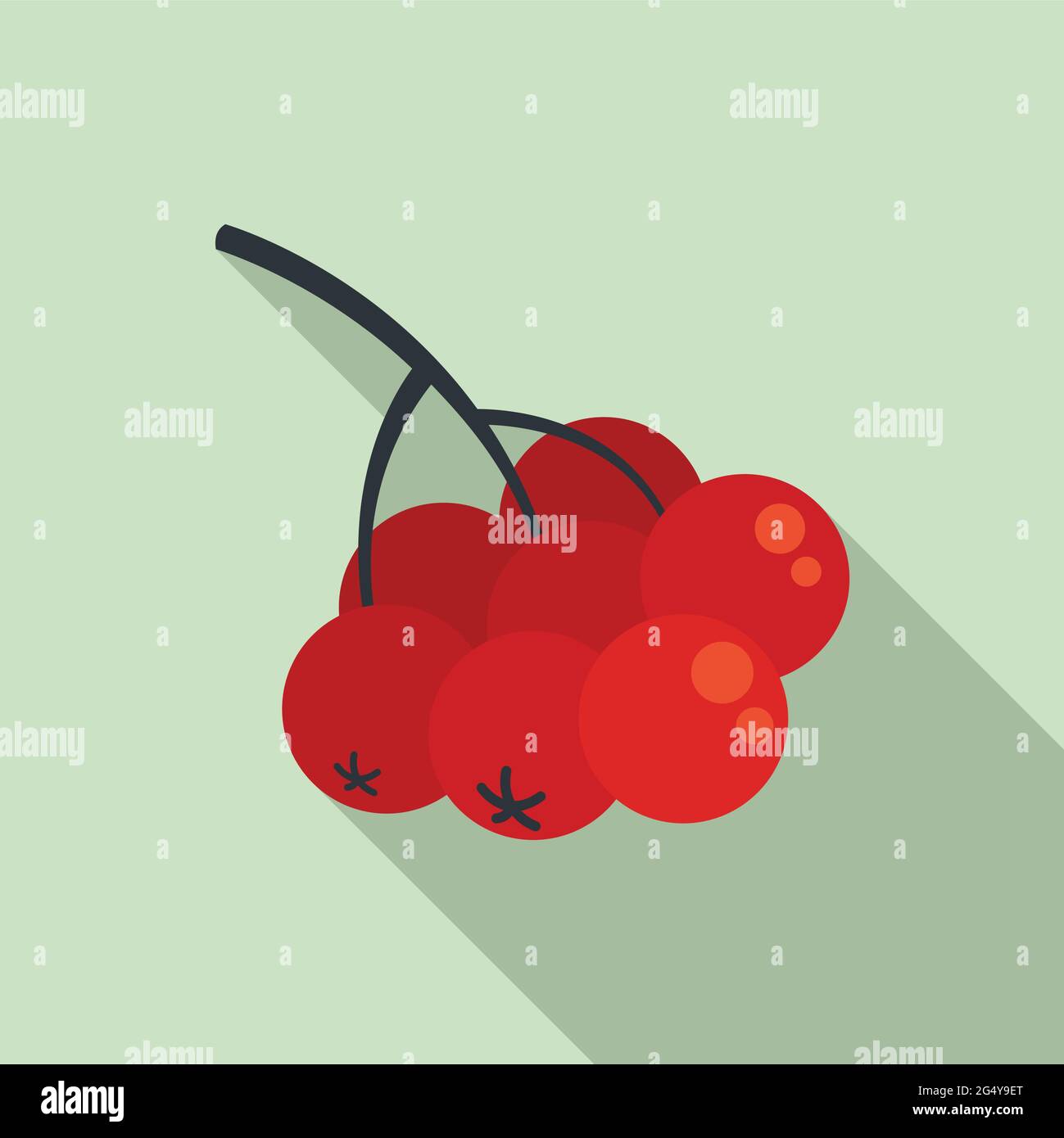 Bright red bunch berries Stock Vector Images - Alamy