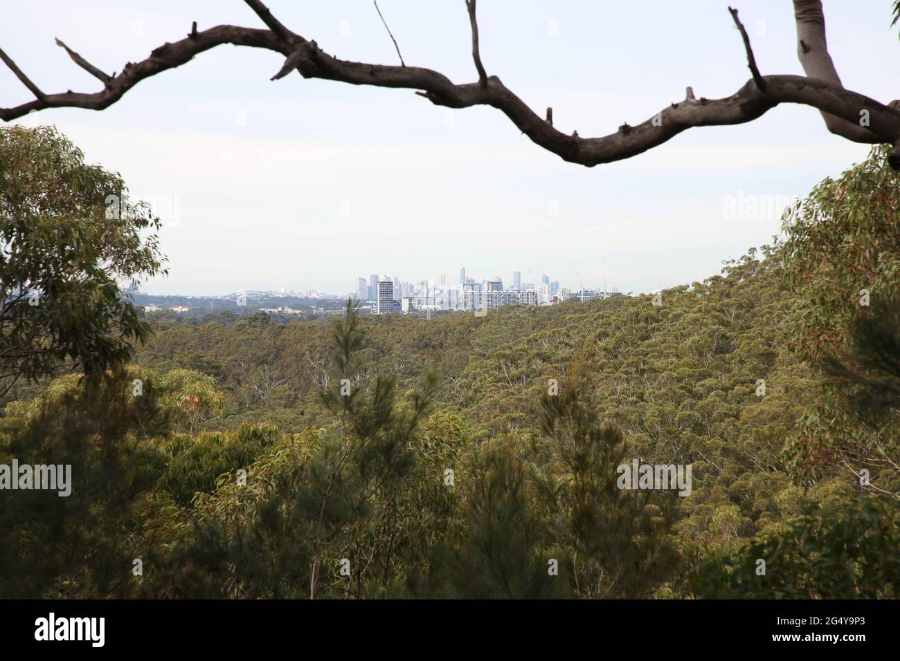 Pennant hills trail hi-res stock photography and images - Alamy
