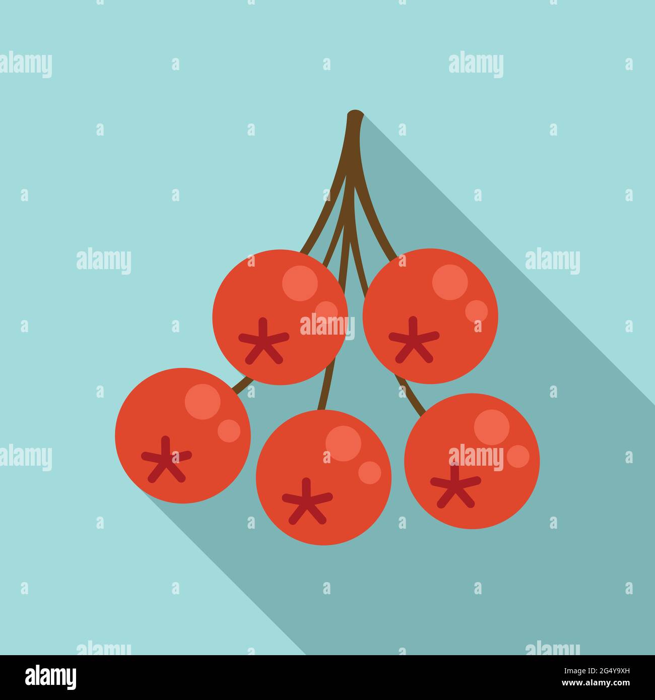 Rowan fresh berry icon, flat style Stock Vector Image & Art - Alamy
