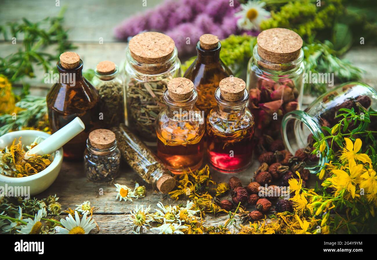 Tincture of medicinal herbs in bottles. Selective focus. Nature Stock ...