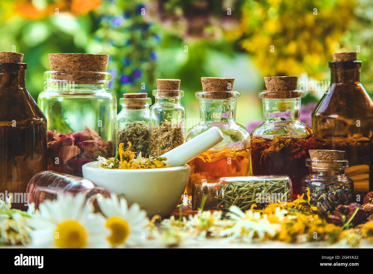 Tincture of medicinal herbs in bottles. Selective focus. Nature Stock ...
