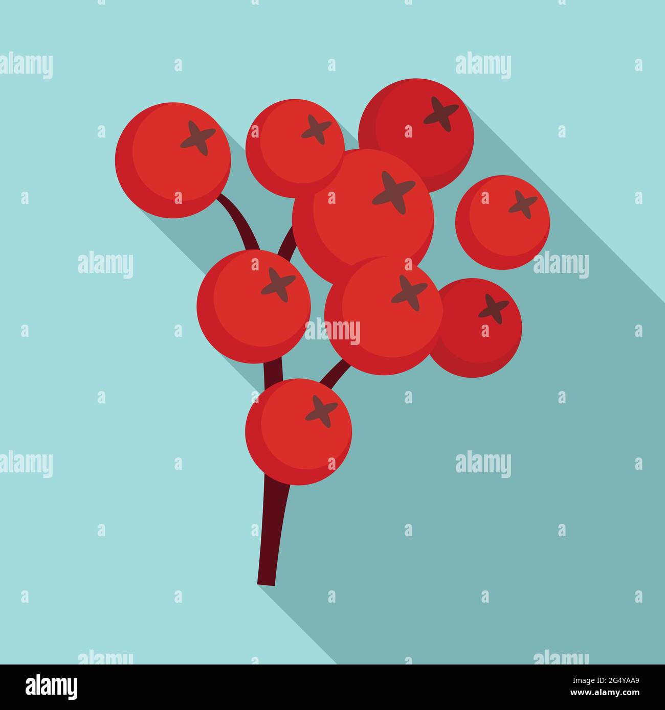 Rowan forest berry icon, flat style Stock Vector Image & Art - Alamy