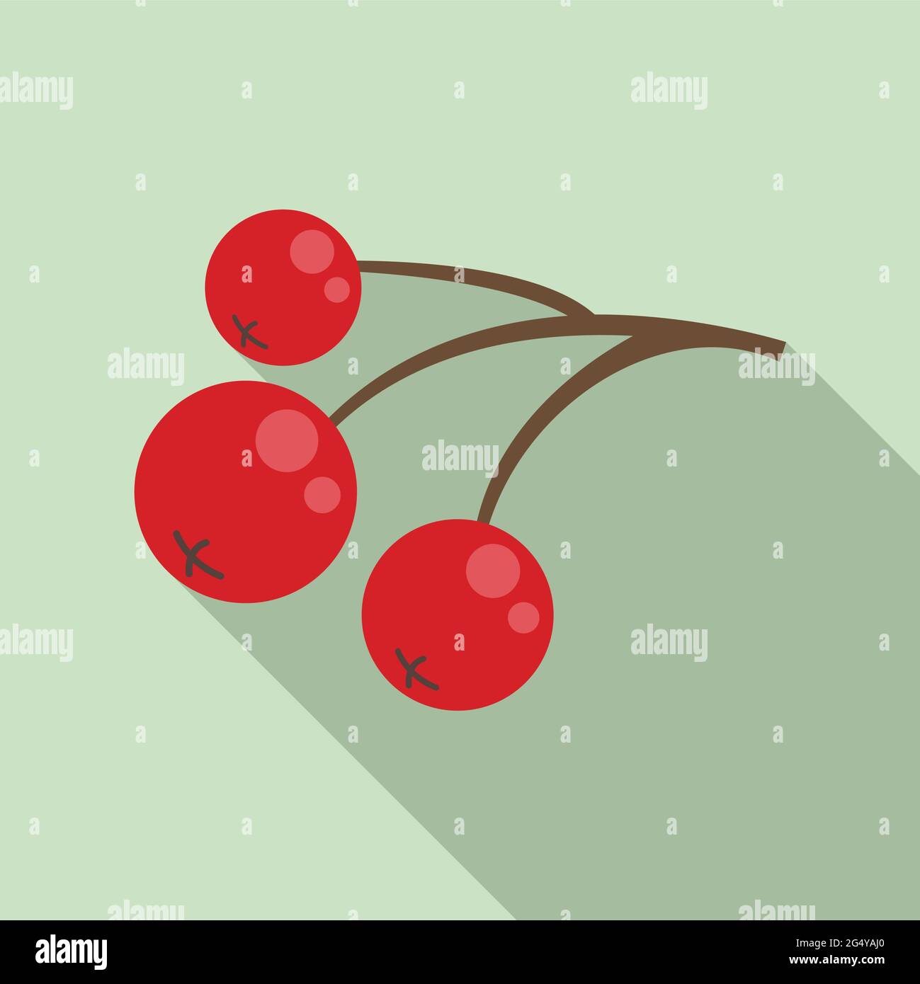 Rowan healthy berry icon hi-res stock photography and images - Alamy