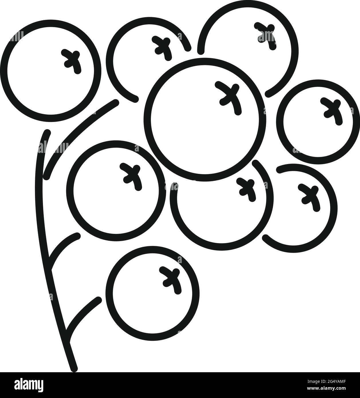 Rowan forest berry icon, outline style Stock Vector Image & Art - Alamy