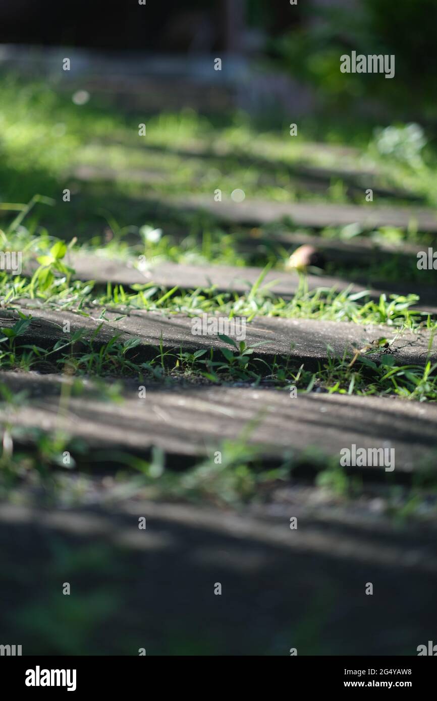 Footpath over garden made out of concrete tiles Stock Photo - Alamy