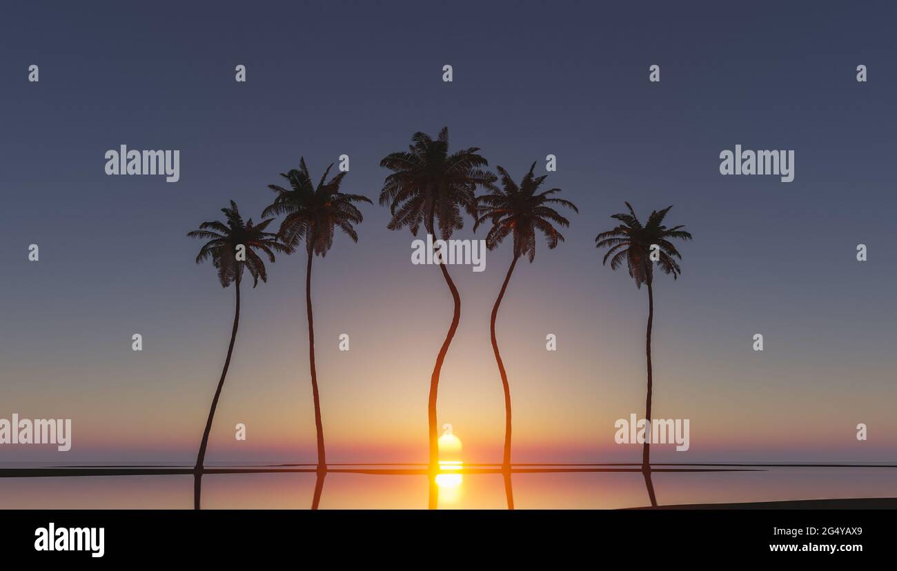 coconut palm trees in tropical sunset with reflections on water and ...