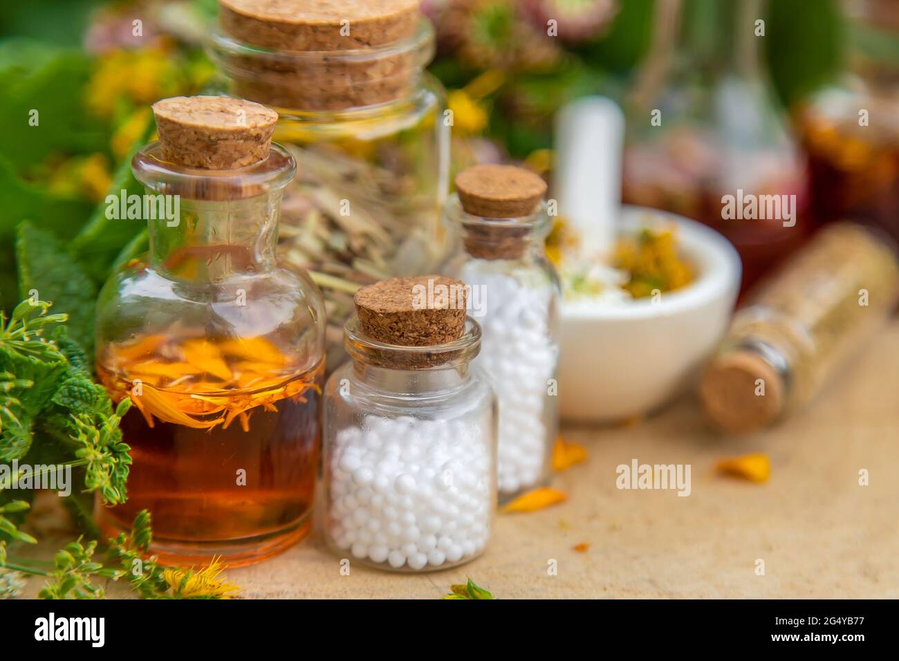 Tincture of medicinal herbs in bottles. Selective focus. Nature Stock ...
