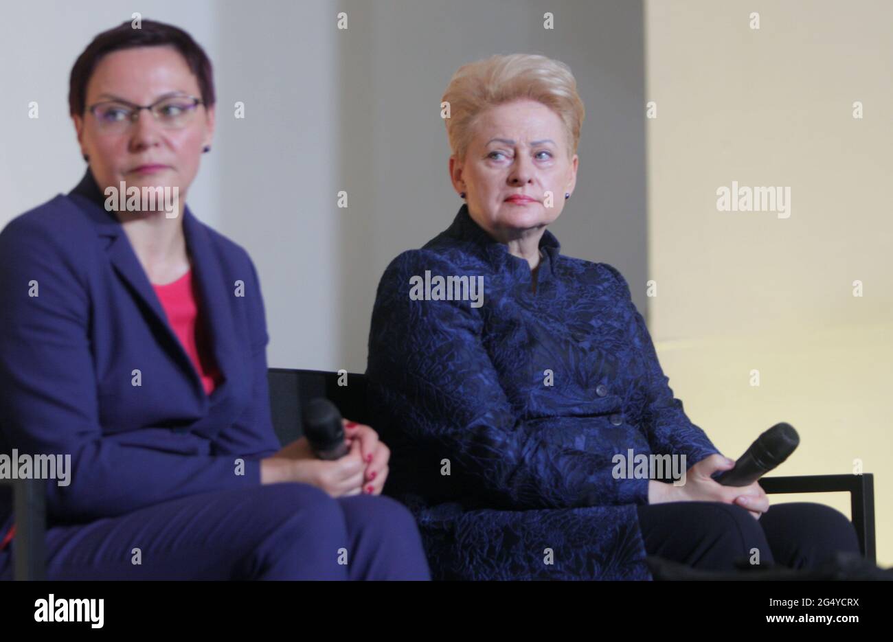 Non Exclusive: KYIV, UKRAINE - JUNE 23, 2021 - Former Lithuanian ...