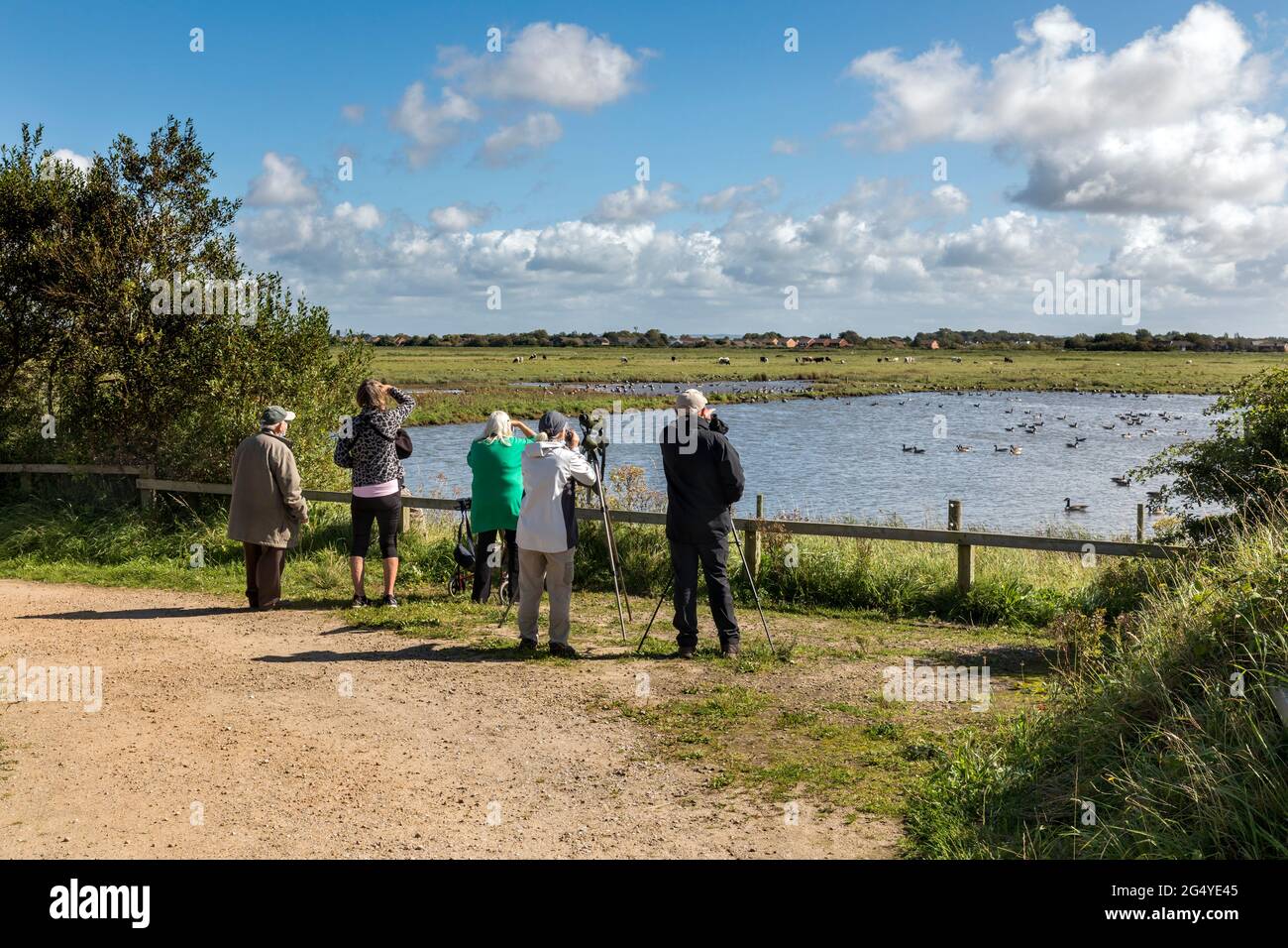 At marshside hi-res stock photography and images - Alamy