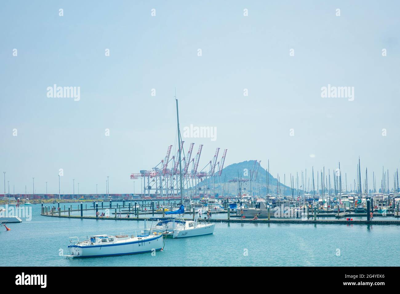 Weekend activity in Tauranga Bridge Marina along Tauranga Harbour ...