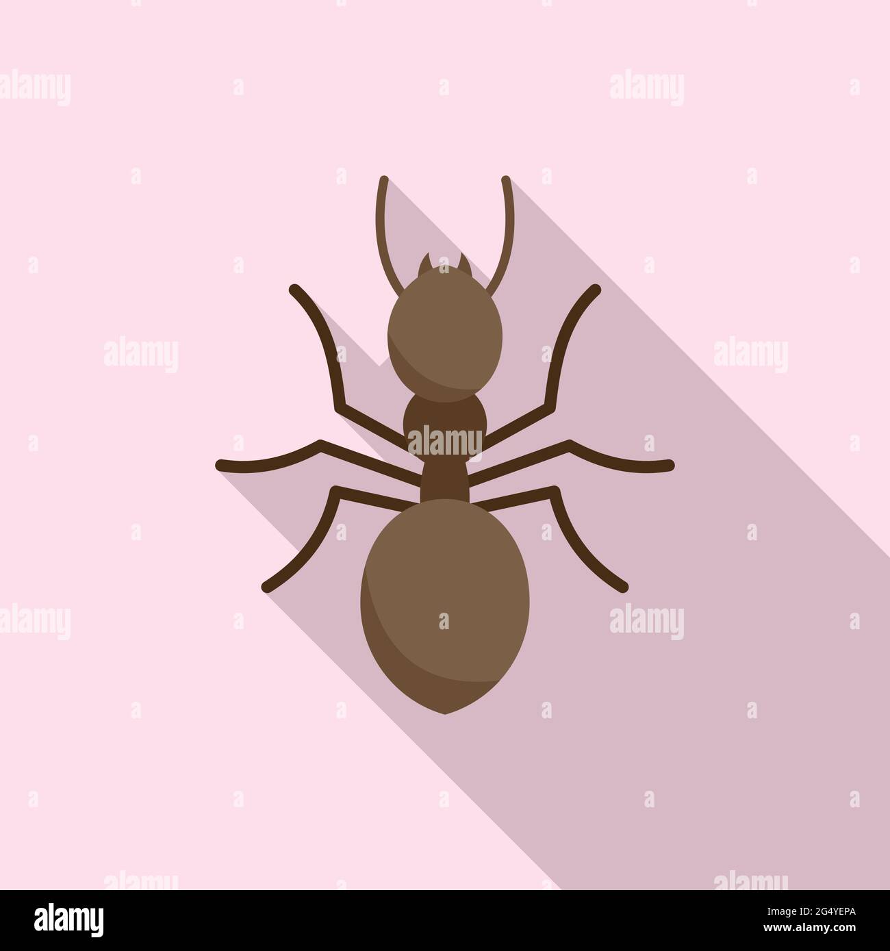 Ant icon, flat style Stock Vector Image & Art - Alamy