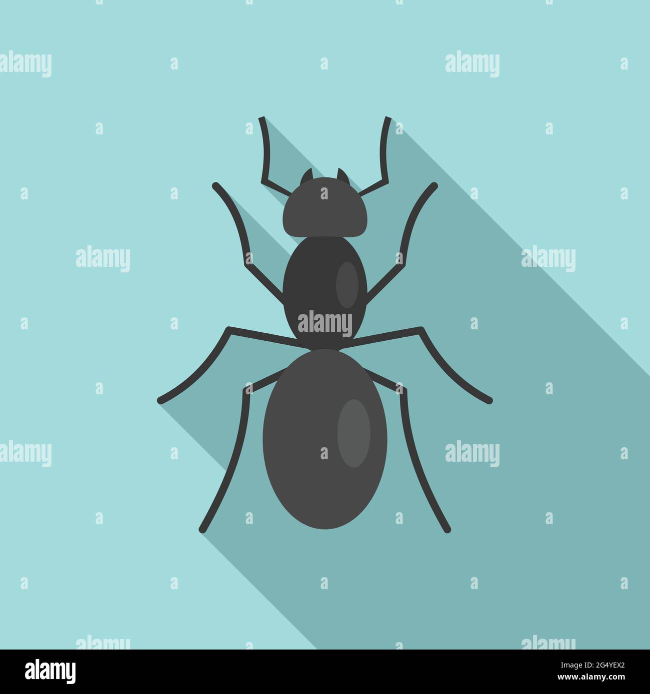 Animal ant icon, flat style Stock Vector Image & Art - Alamy