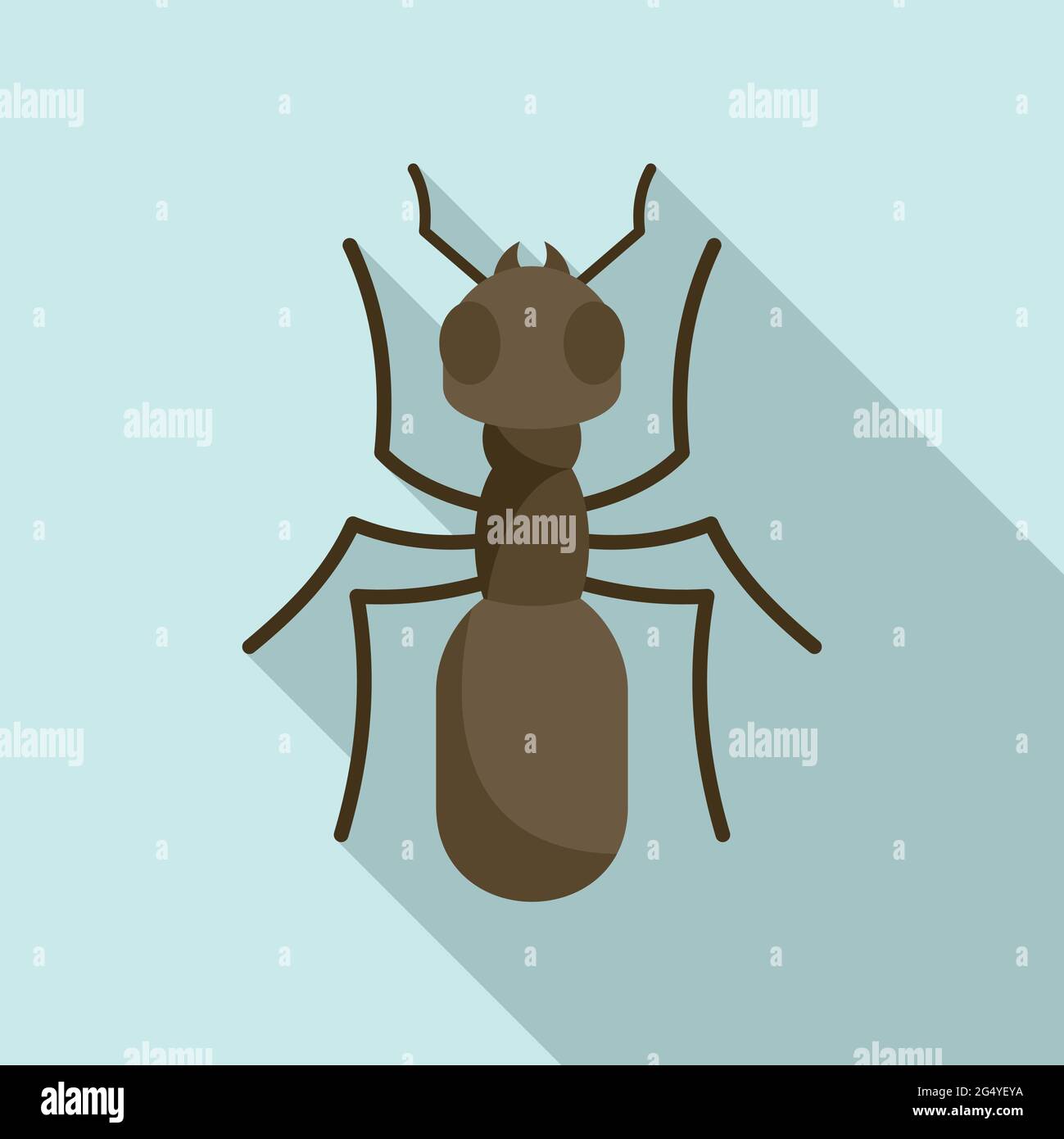 Insect ant icon, flat style Stock Vector Image & Art - Alamy