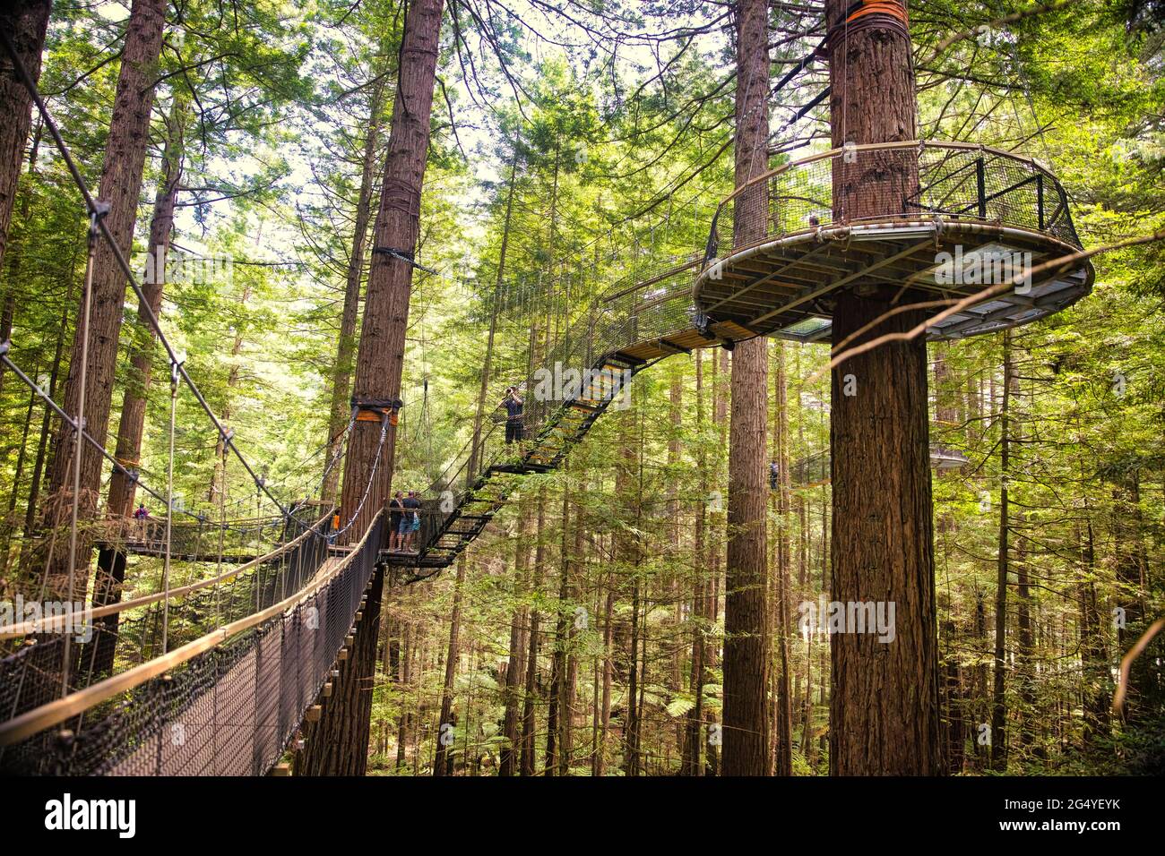 High line observation deck hi-res stock photography and images - Alamy
