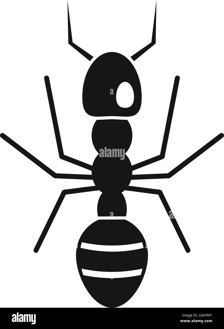 Soldier ant Black and White Stock Photos & Images - Alamy
