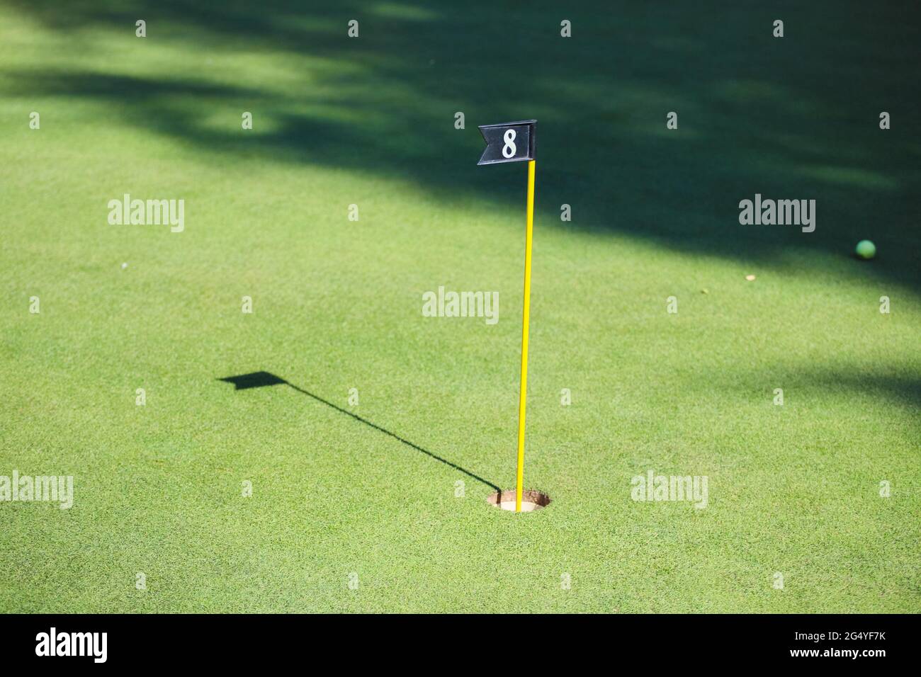 Flag in a golf hole on the background of green grass and golf balls ...