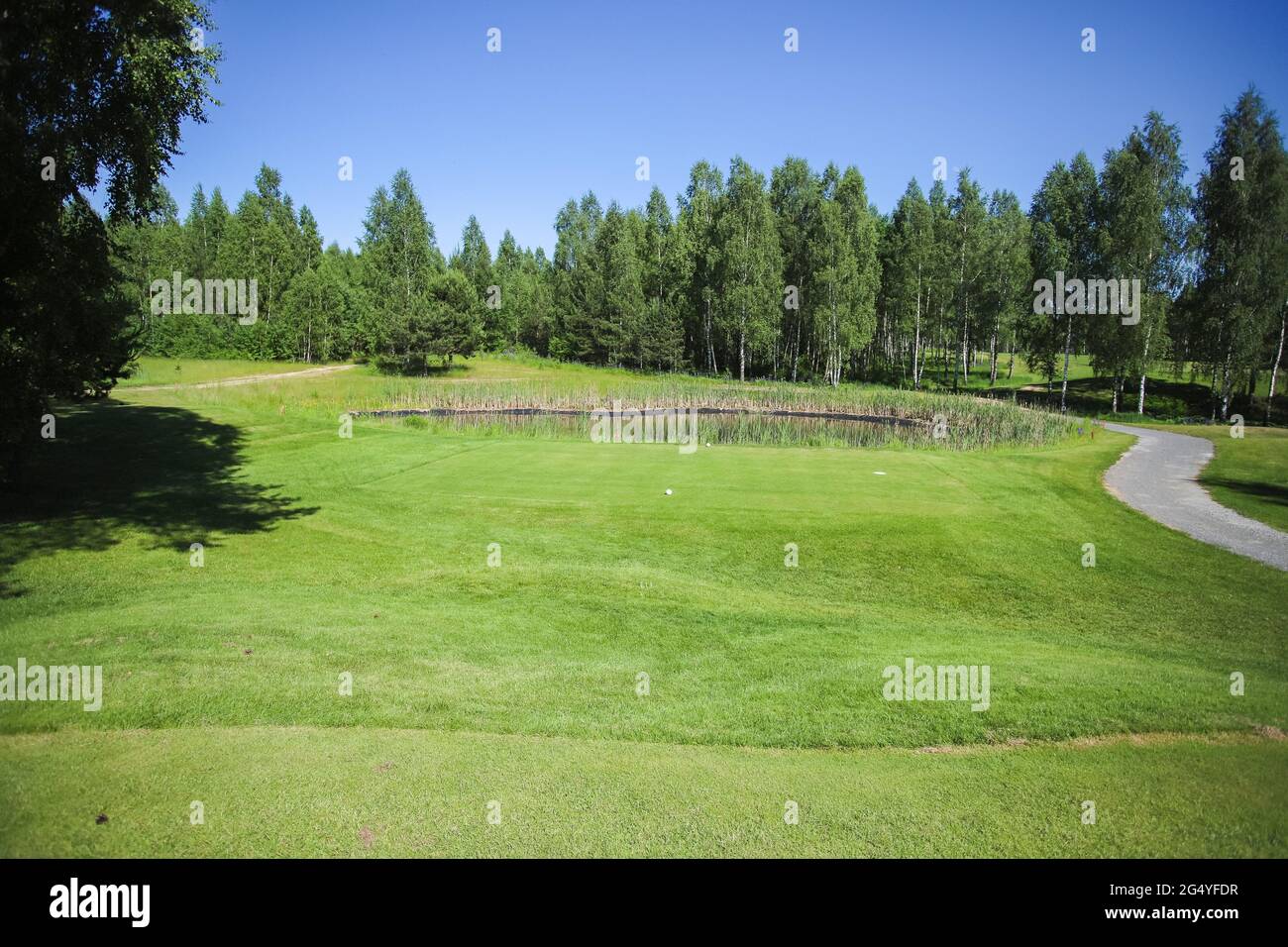 Green field against the background of forest and a blue sky Stock Photo ...