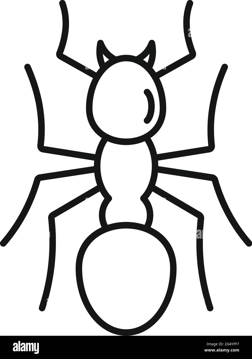 Ant, line, team Black and White Stock Photos & Images - Alamy