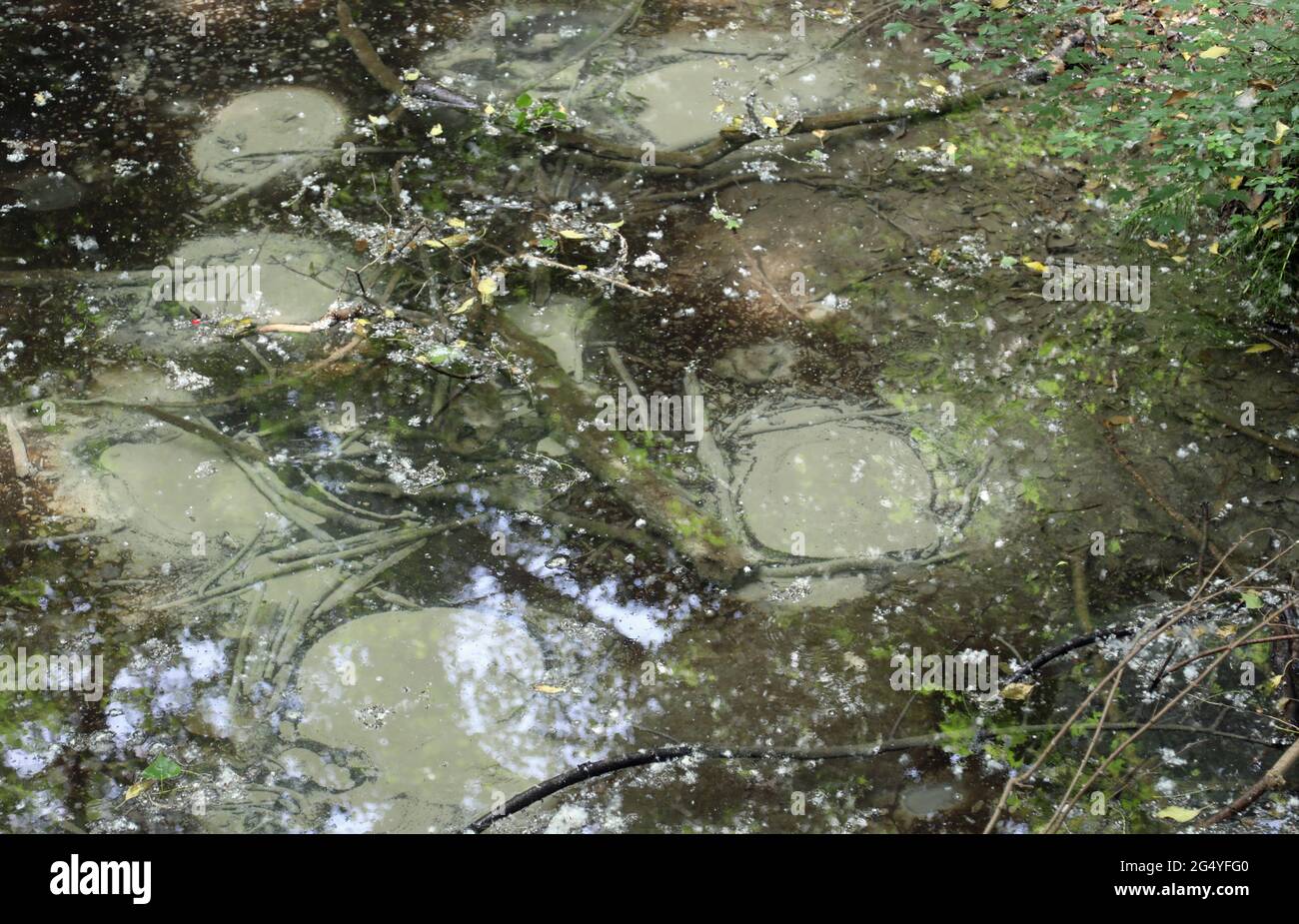 springs of spring water in the springs that give life to the river ...