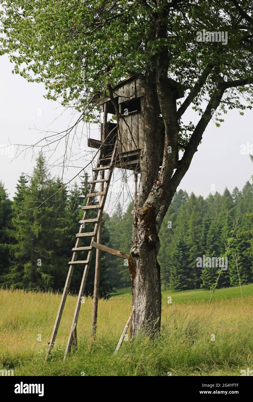 wooden hut used by hunters to shoot birds camouflage and unseen Stock ...