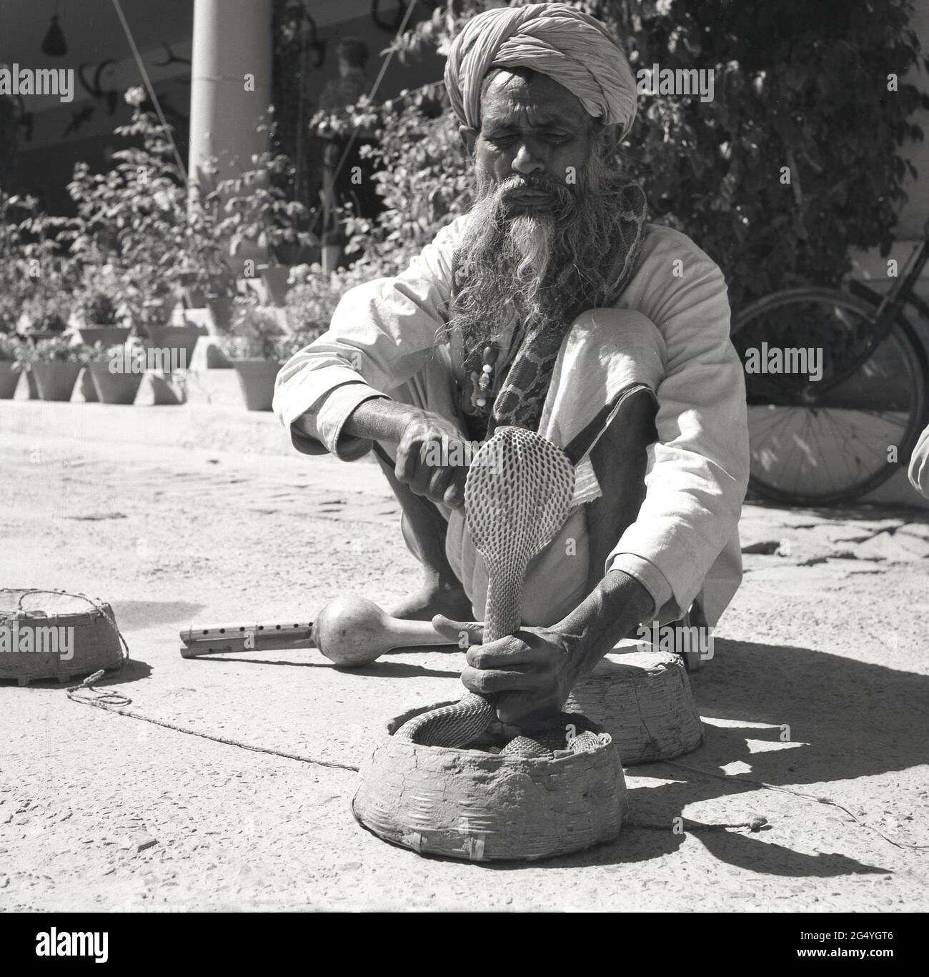 Snake man head hi-res stock photography and images - Alamy