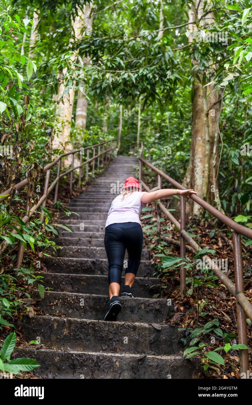 Young girl climbing a set of stairs in the forest. Adventure concept ...