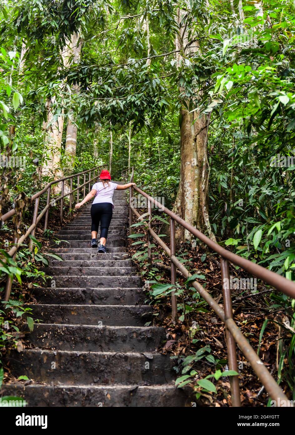 Young girl climbing a set of stairs in the forest. Adventure concept ...