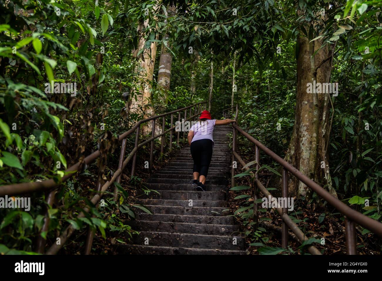 Young girl climbing a set of stairs in the forest. Adventure concept ...