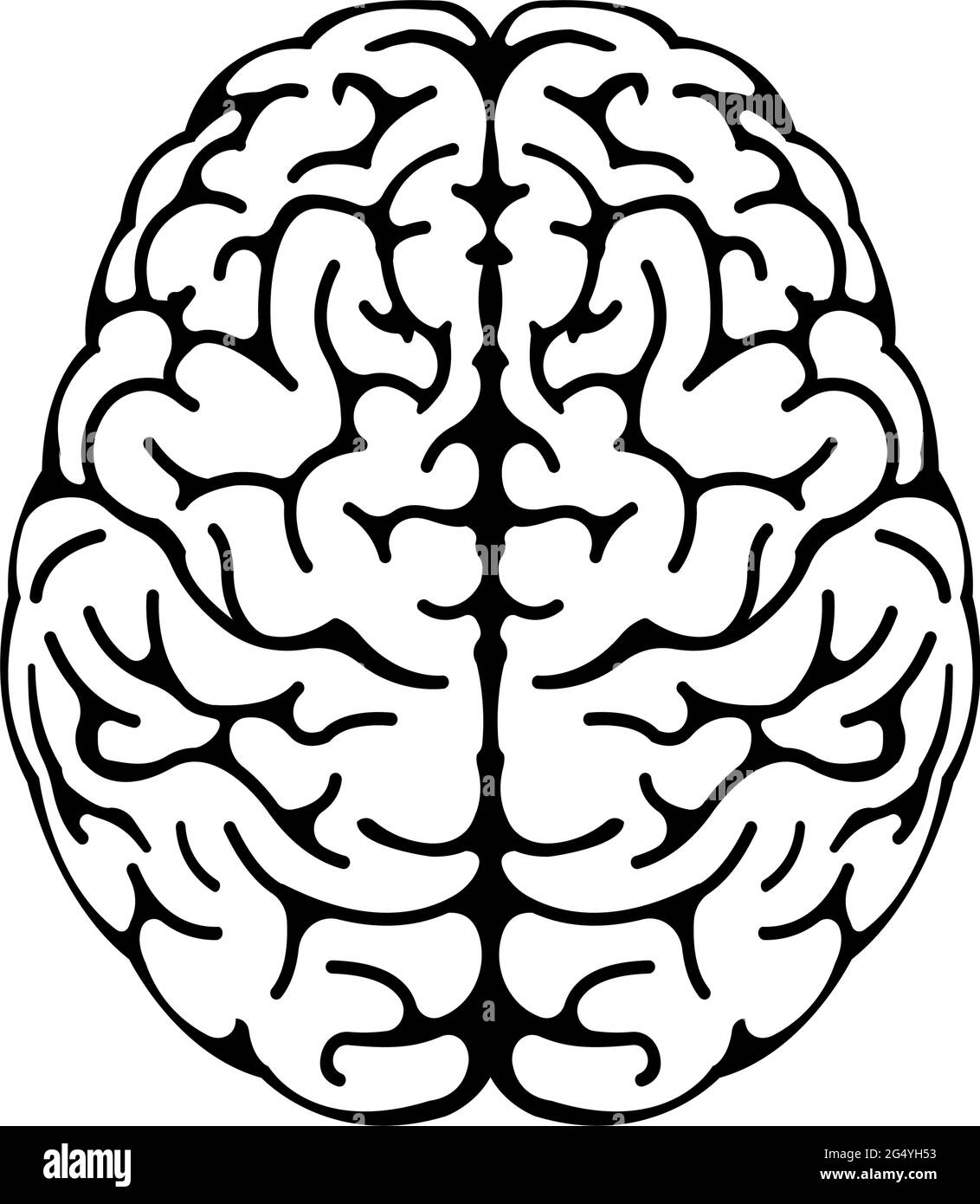 Human brain Black and White Stock Photos & Images - Alamy