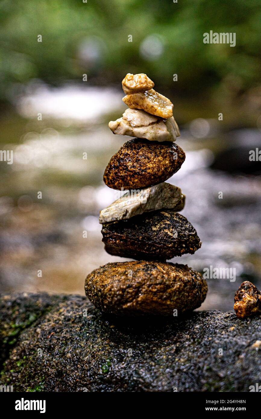 Zen Calming Concept. Rocks tower over the river in the rainforest Stock ...