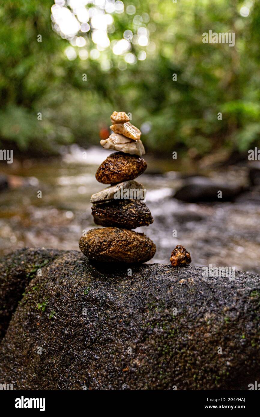 Zen Calming Concept. Rocks tower over the river in the rainforest Stock ...