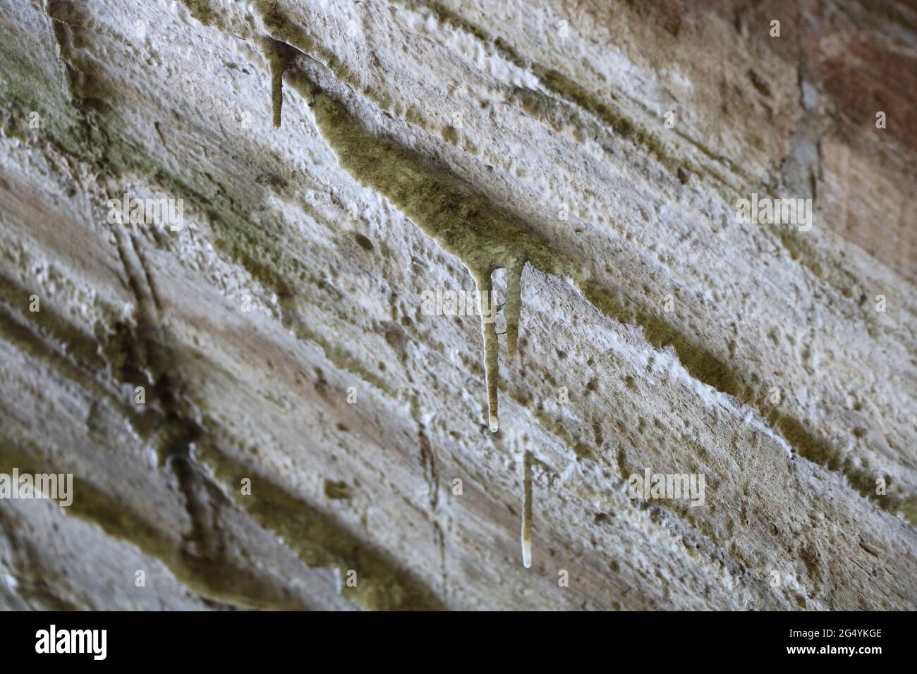 Stalactites Under Bridge, Stalactites Forming under a Bridge Stock ...