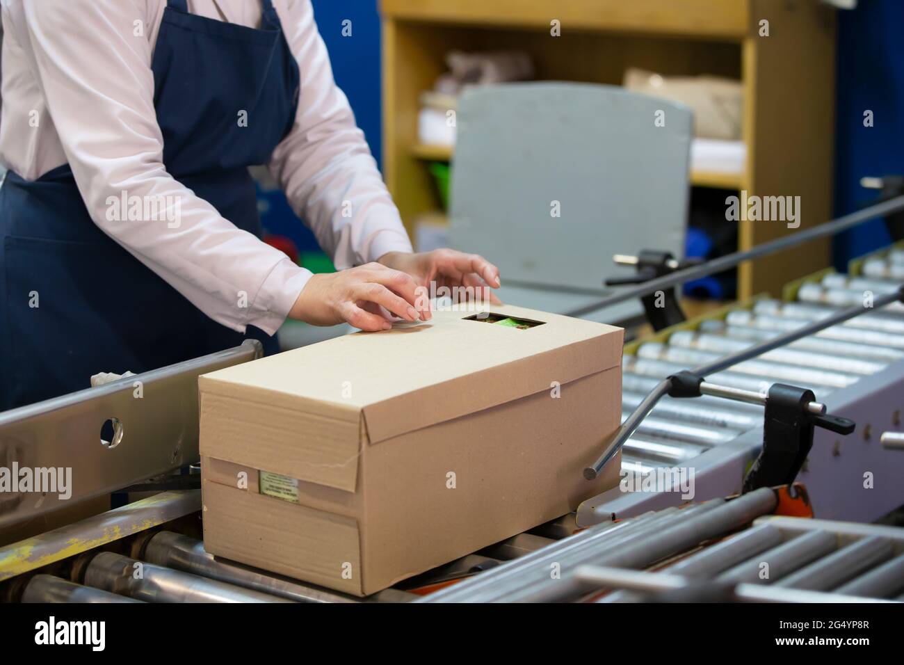 Packing conveyor. The hands of the packer pack the goods into the box ...