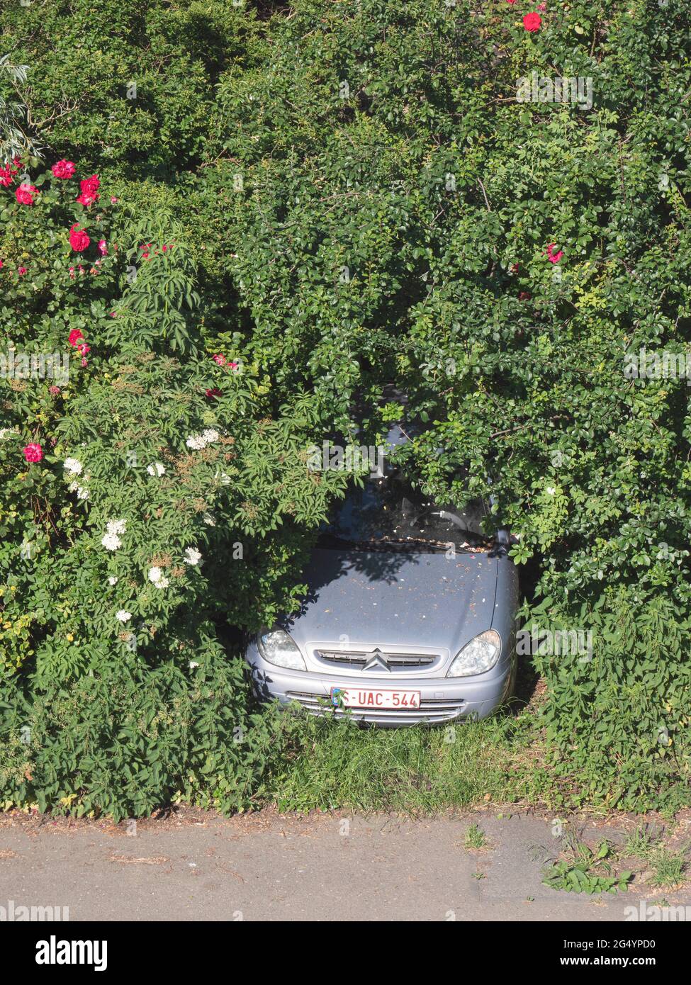 2021 car hi-res stock photography and images - Alamy