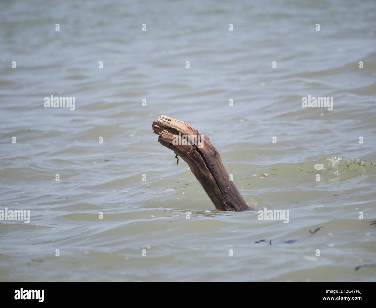 24 June 2021 High Resolution Stock Photography and Images - Alamy