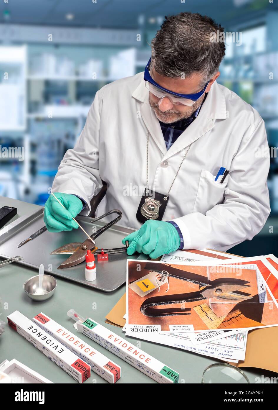 Police scientist extracts DNA sample from a tweezers in a crime lab ...