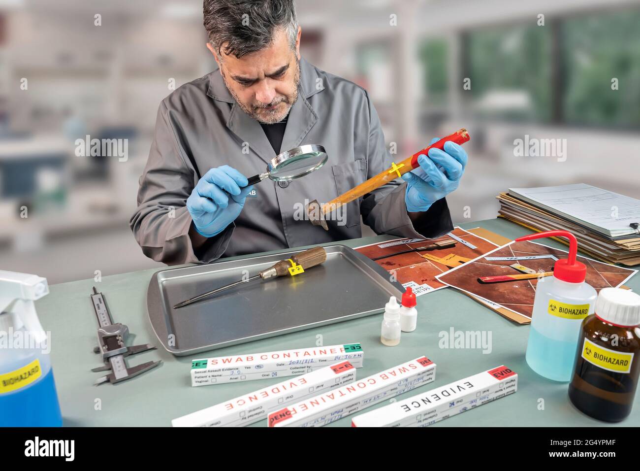 Expert police examines with magnifying glass a hammer in laboratory ...