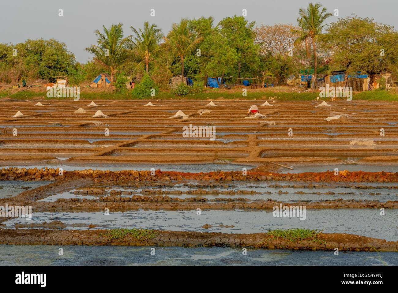 Beautiful shot ponds land hi-res stock photography and images - Alamy