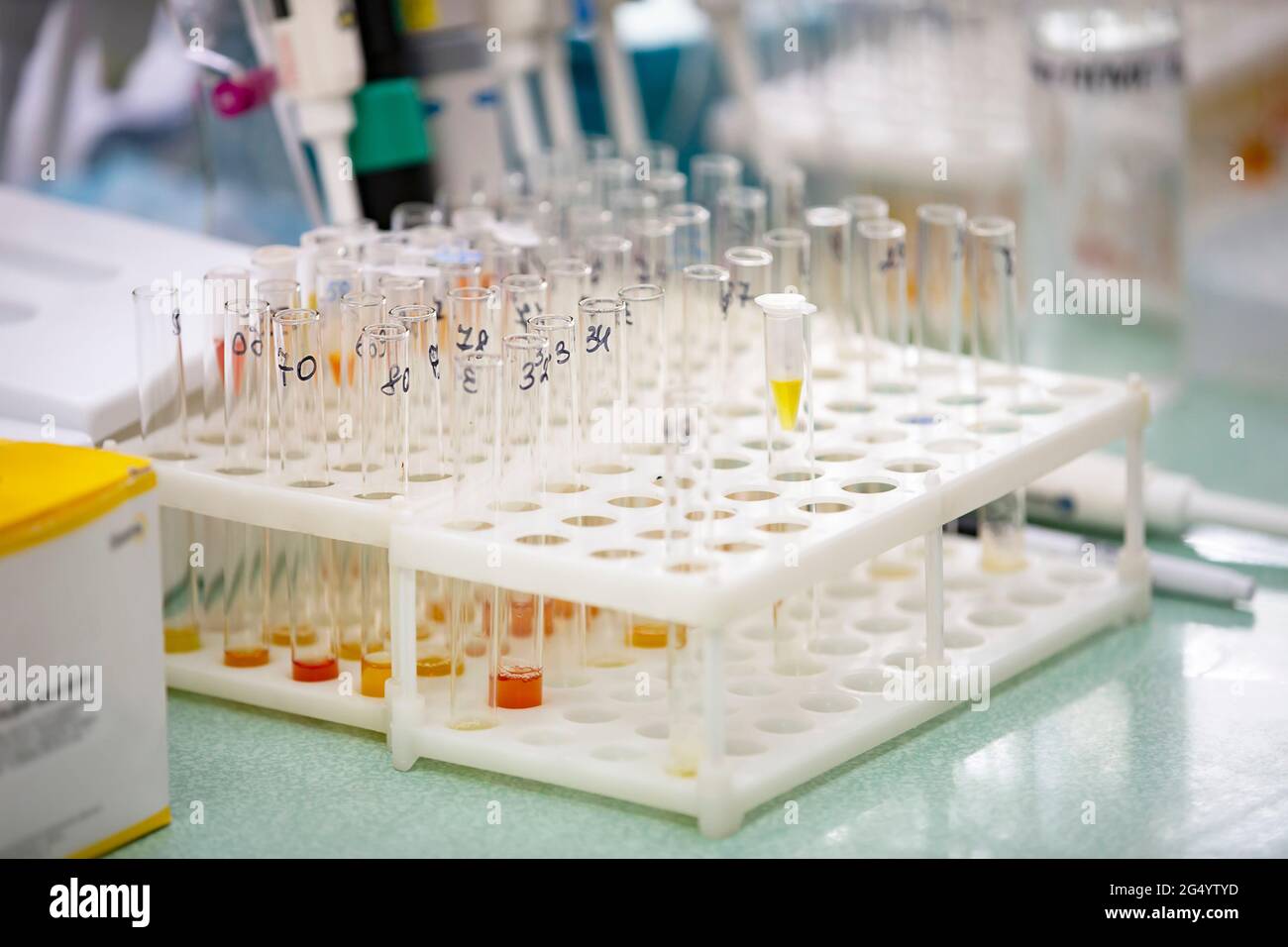 Many glass test tubes with analyzes in a medical laboratory Stock Photo ...