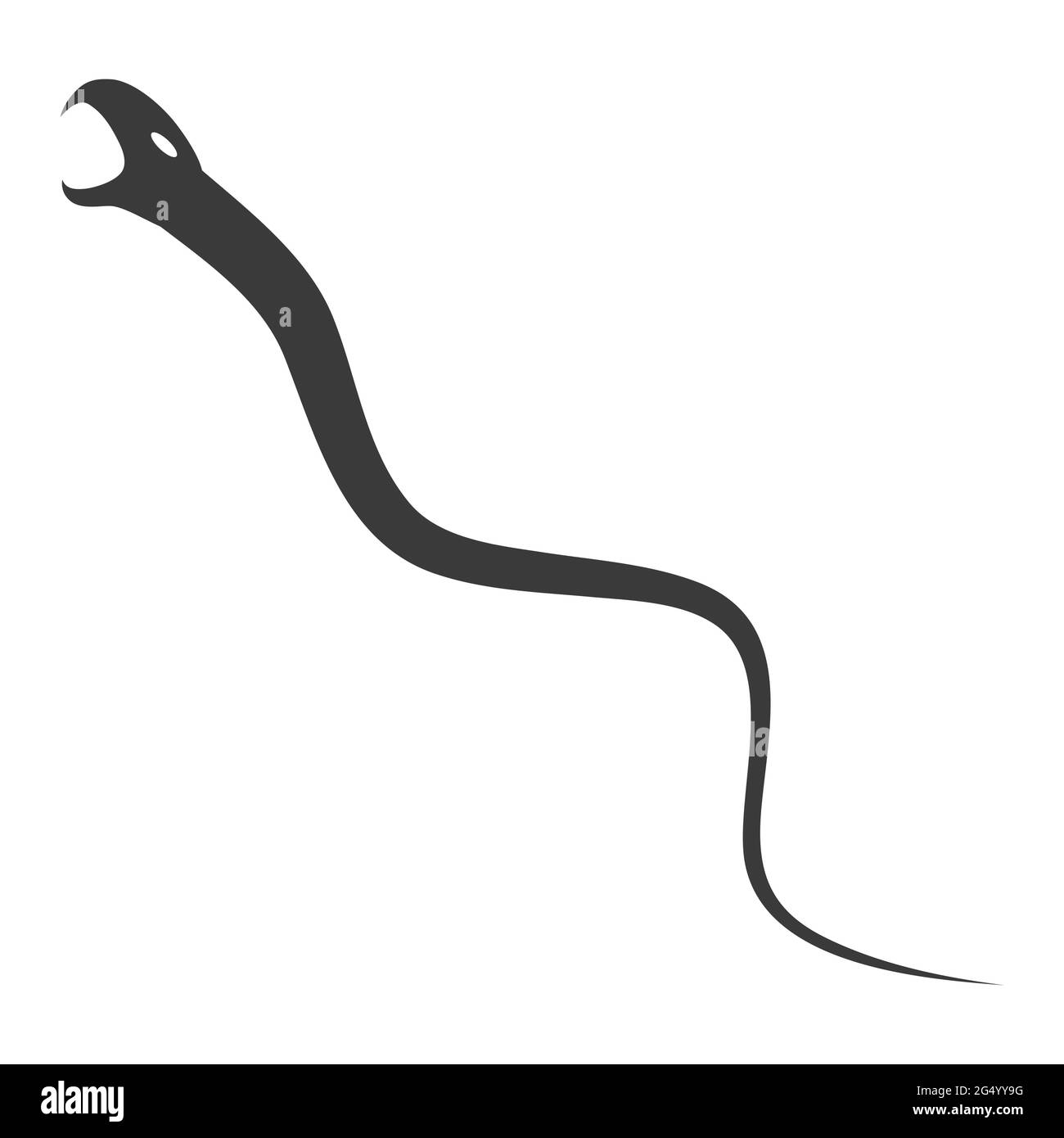 Esoteric symbol. Mystical and magical design with a magical snake Stock ...