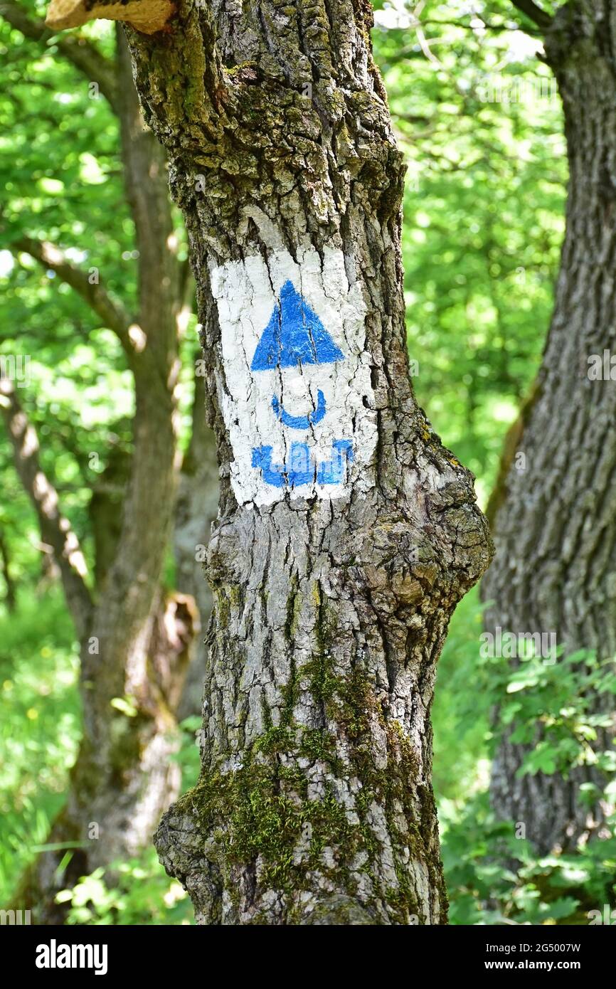 Tourist sign on the tree trunk Stock Photo - Alamy