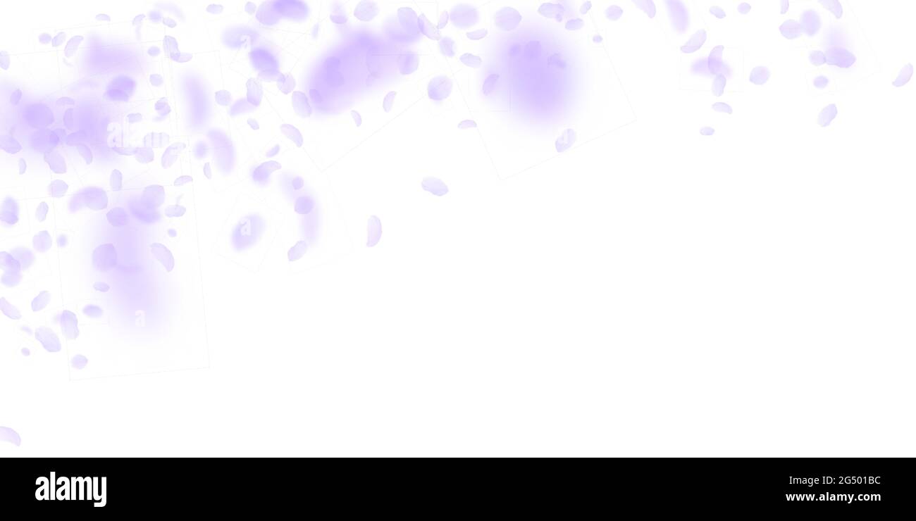 Violet flower petals falling down. Marvelous romantic flowers falling ...