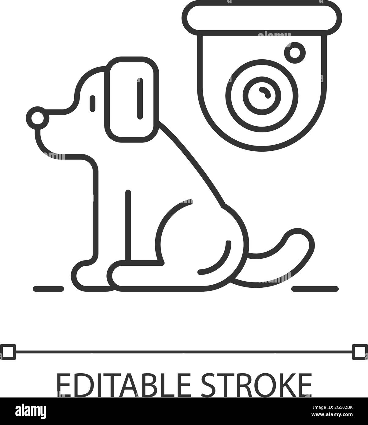 Pet control camera linear icon Stock Vector Image & Art - Alamy