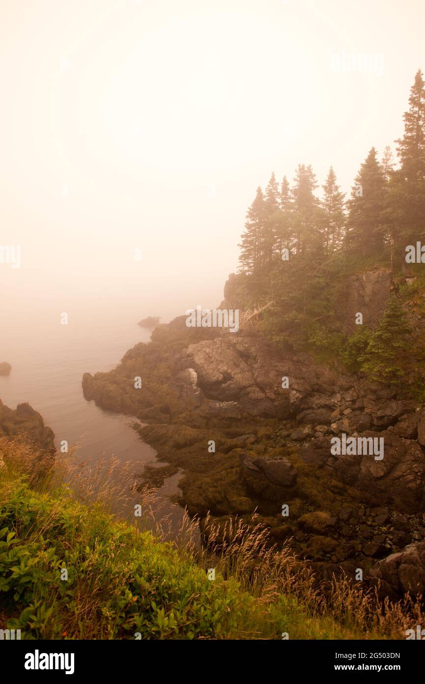 Coastal Trail, Cutler Coast Public Land, Bold Coast Trail, Cutler ...